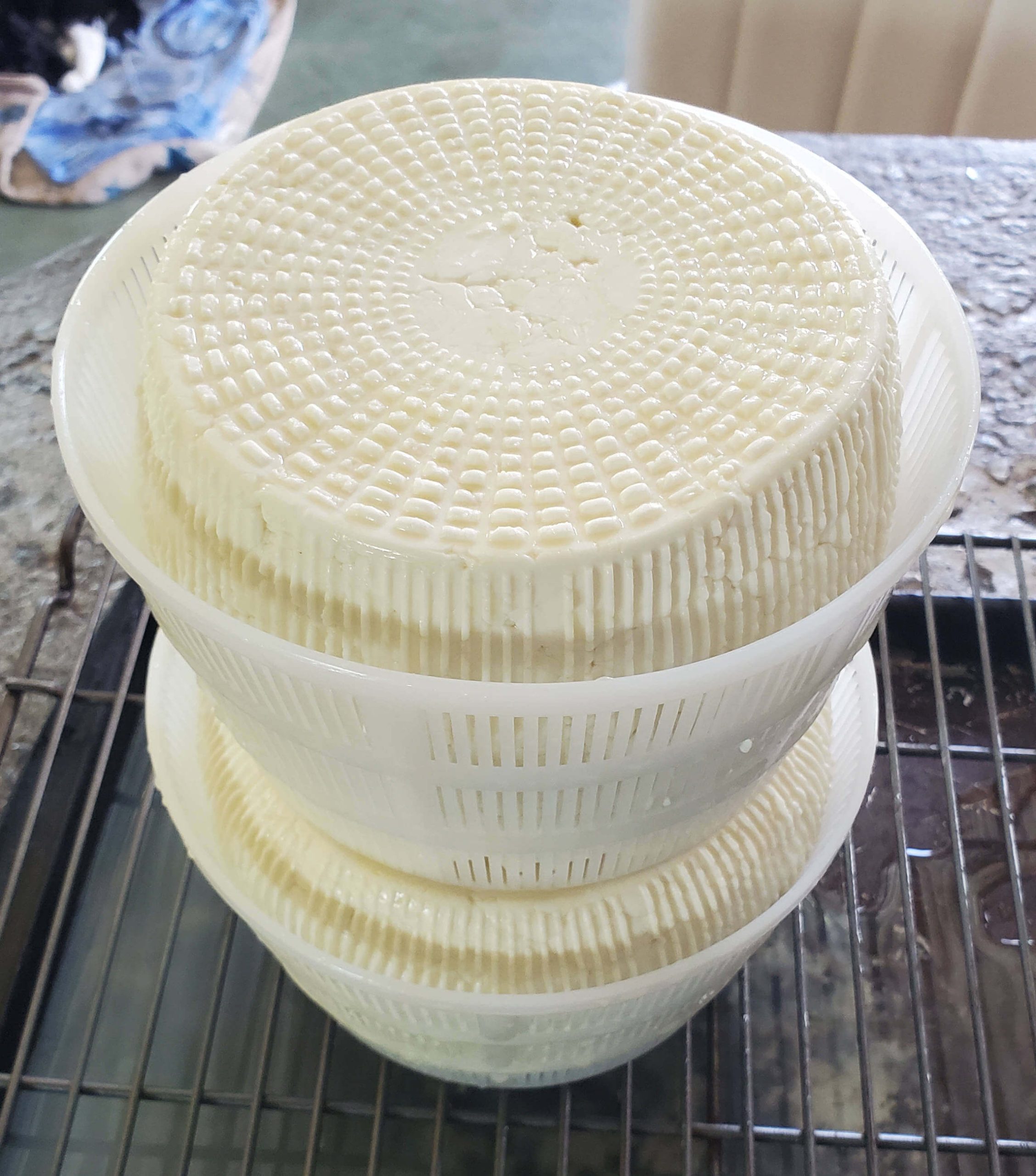 How To Make Halloumi Cheese | Snowdrop Farm
